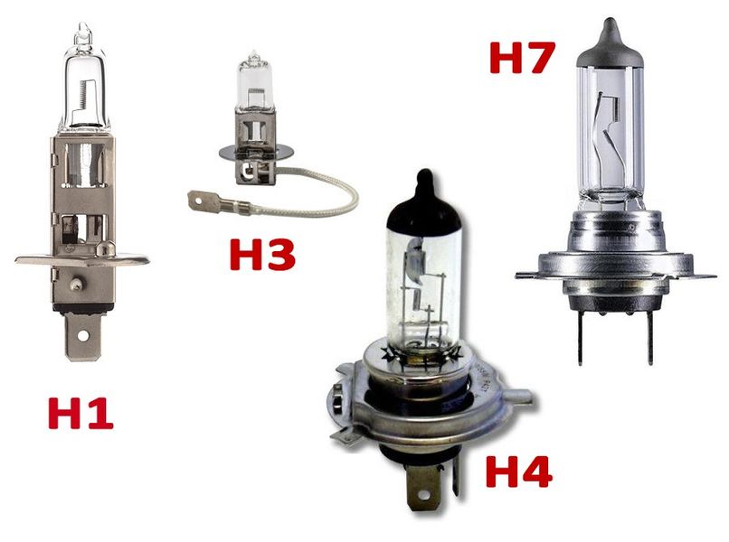 What light bulbs fit your Prologue?