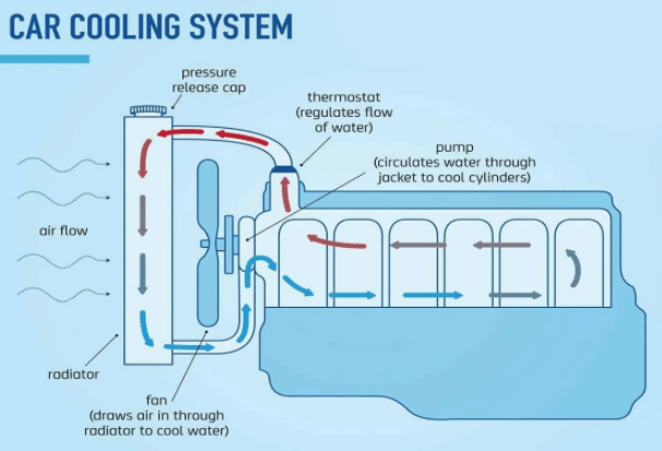 Why does your Sumo’s engine overheat? Causes and solutions